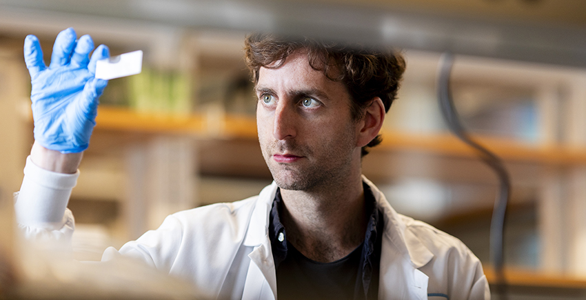 World Stem Cell Summit - a meeting on Regenerative Medicine